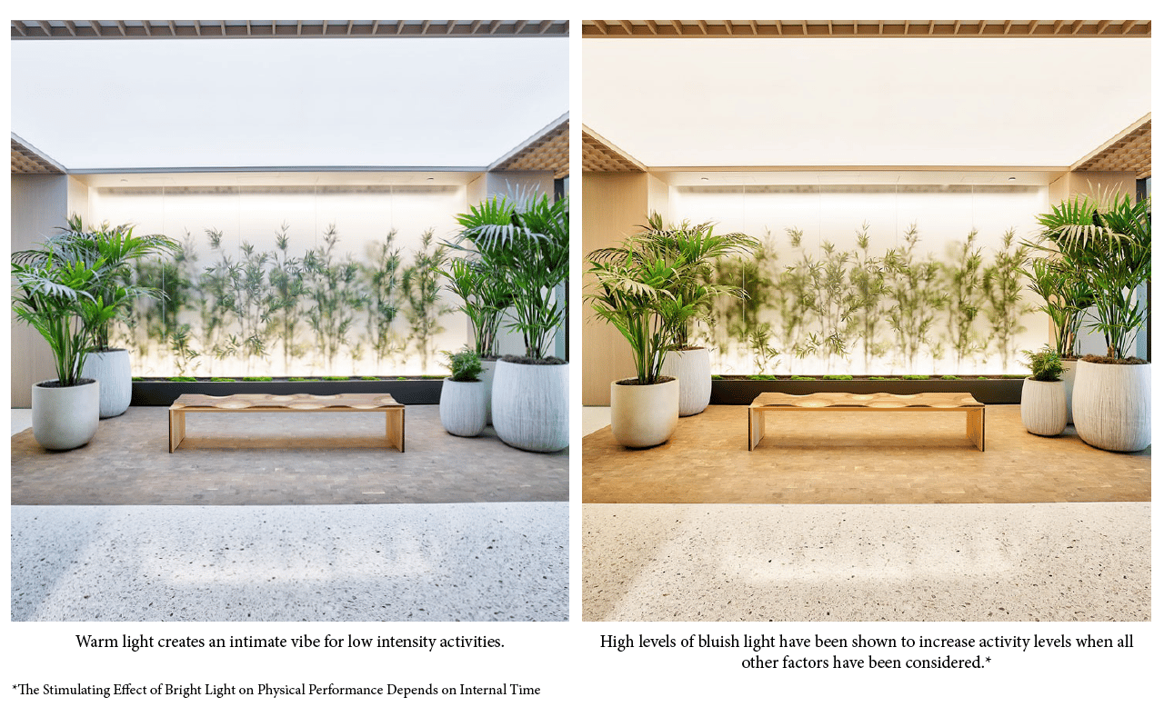 Dynamic Lighting Adds Value to Your Club